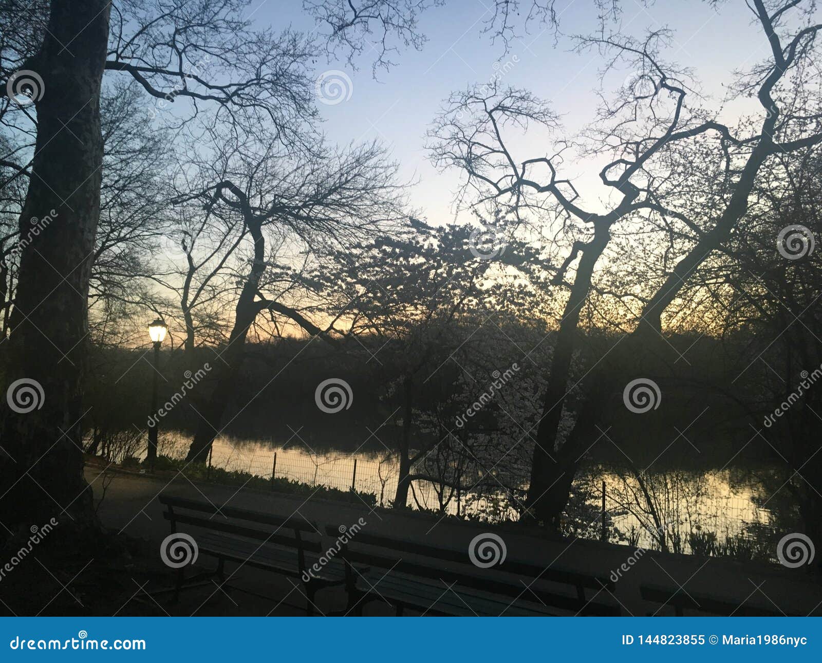 Dawn in Spring in Central Park in Manhattan, New York, NY. Stock Image ...