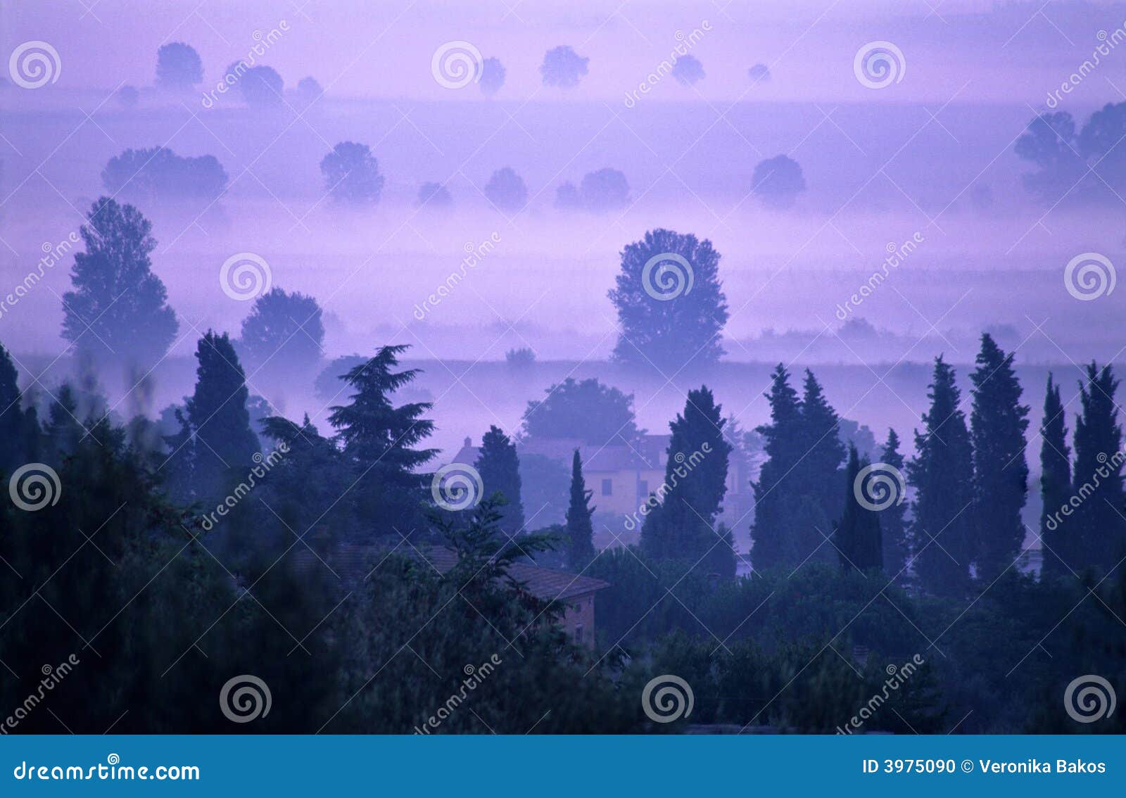 Dawn in Tuscany stock photo. Image of early, lilac, dawn - 3975090