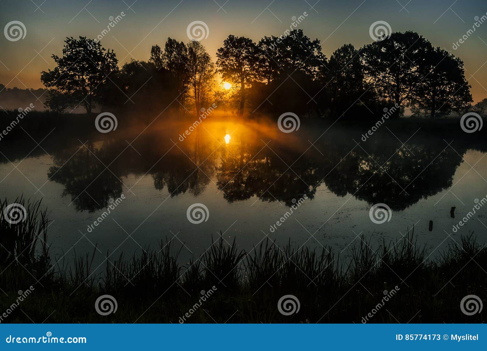 Dawned near pond stock image. Image of daylight, edges - 85774173