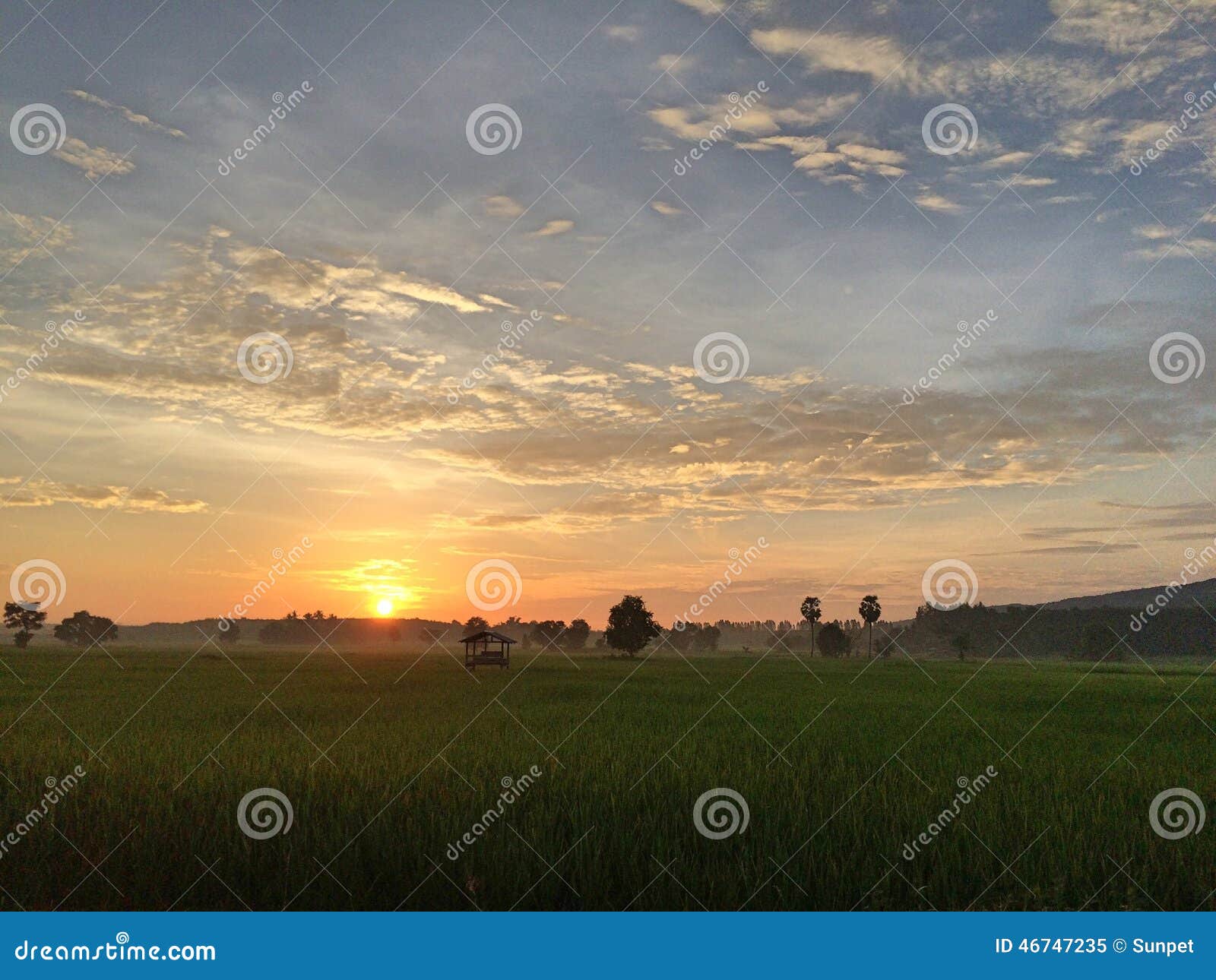 Dawning stock image. Image of nature, sunlight, dawning - 46747235