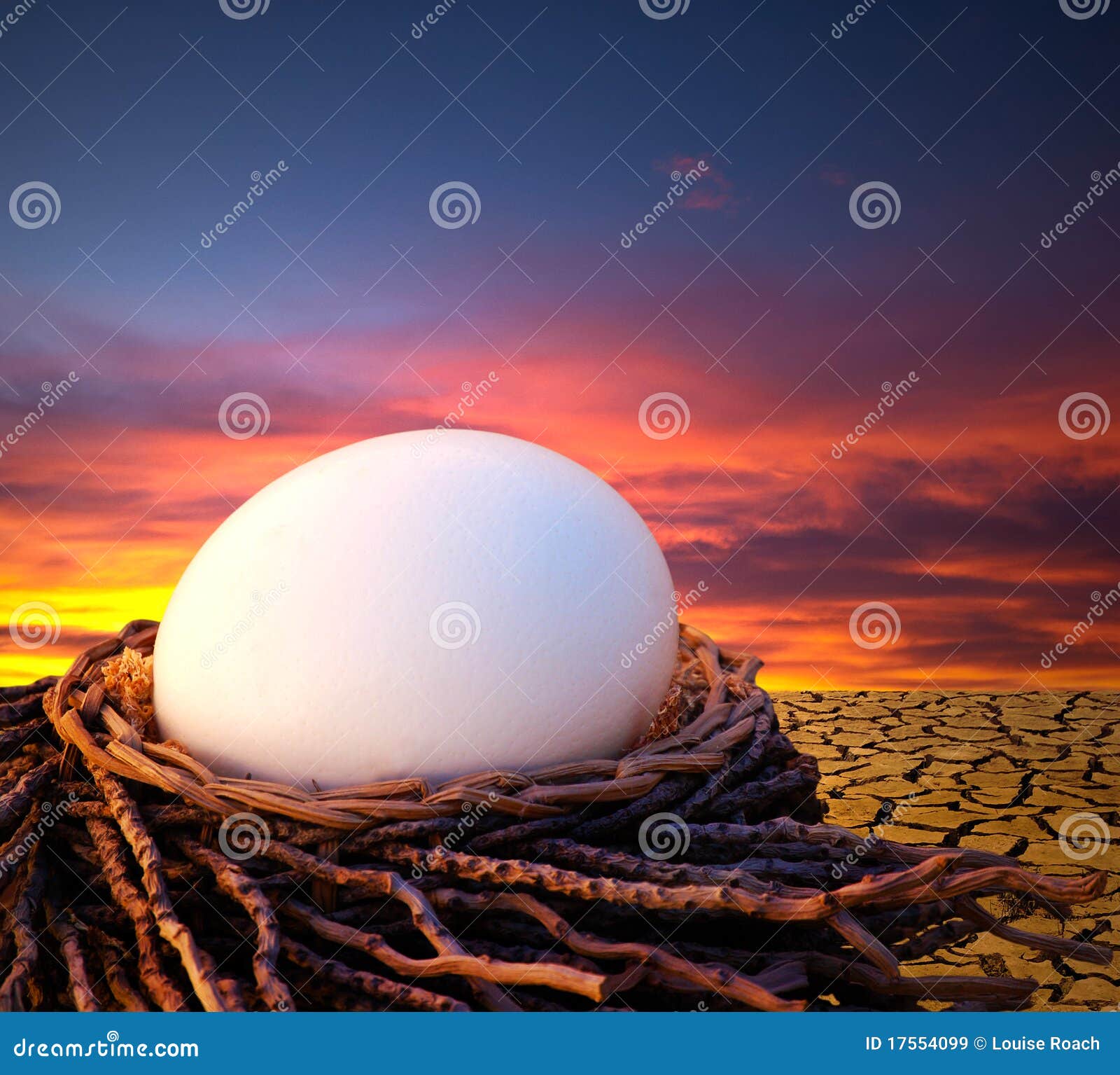 The Dawning of a New Age stock image. Image of fertility - 17554099