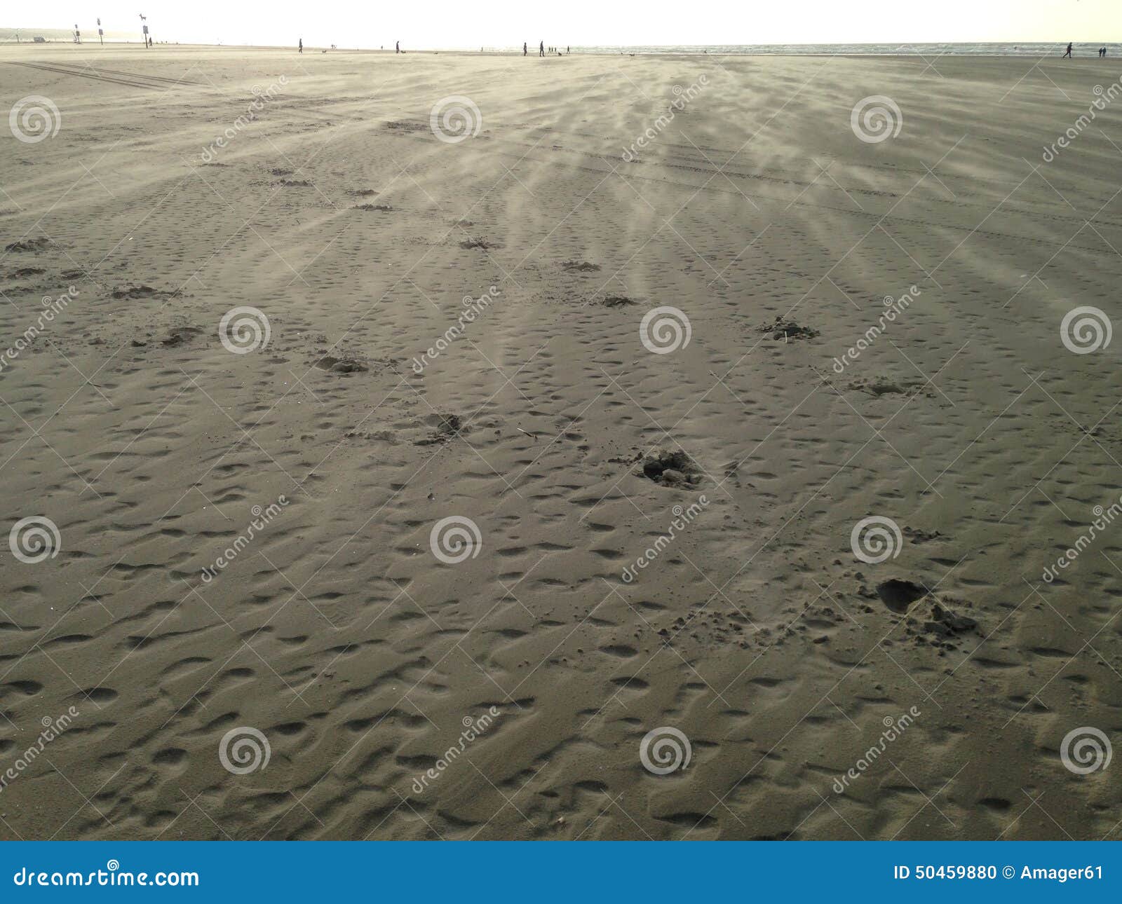 A day at the beach stock photo. Image of coast, footsteps - 50459880