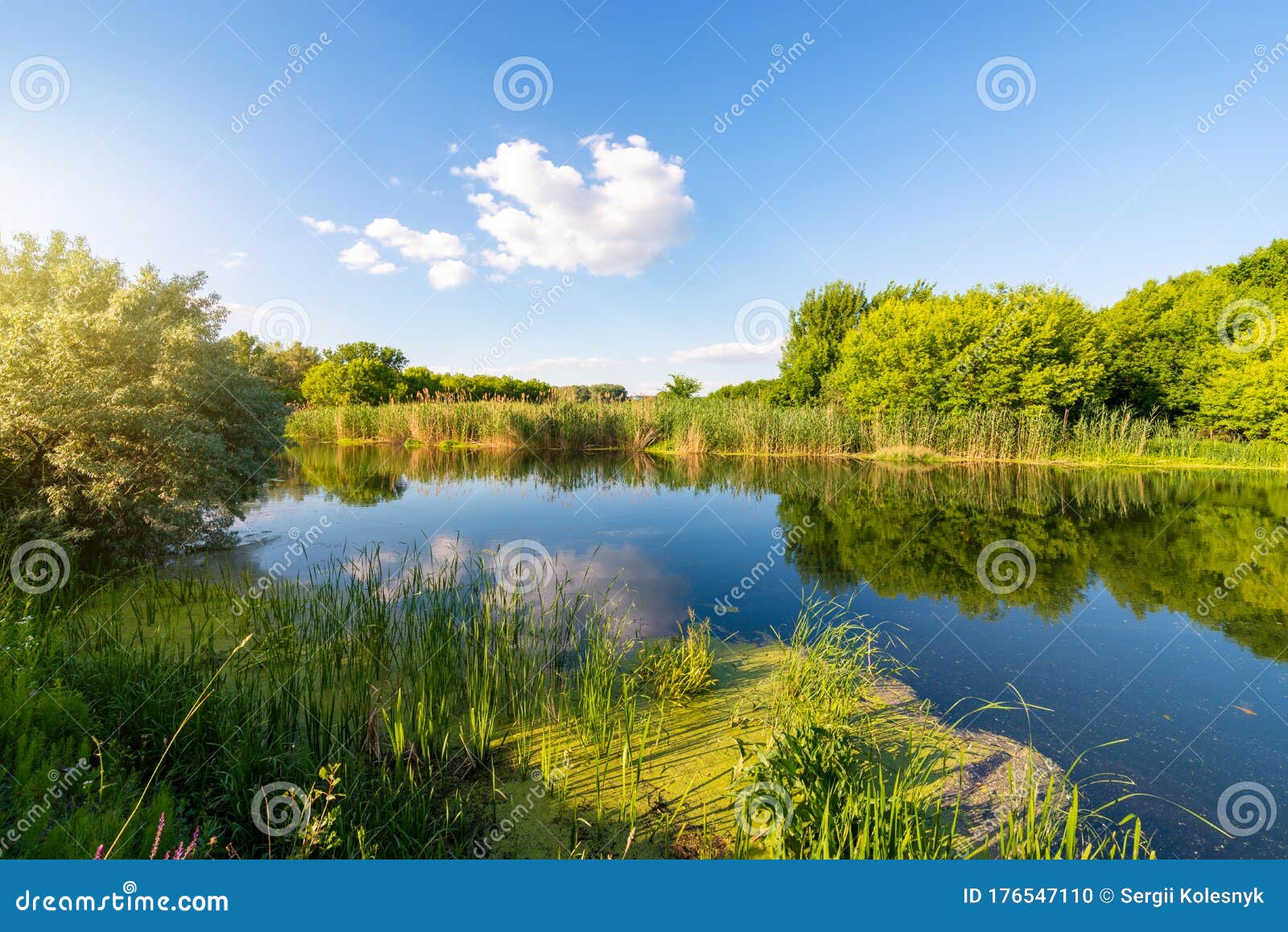 Day on a calm river stock photo. Image of idyllic, spring - 176547110