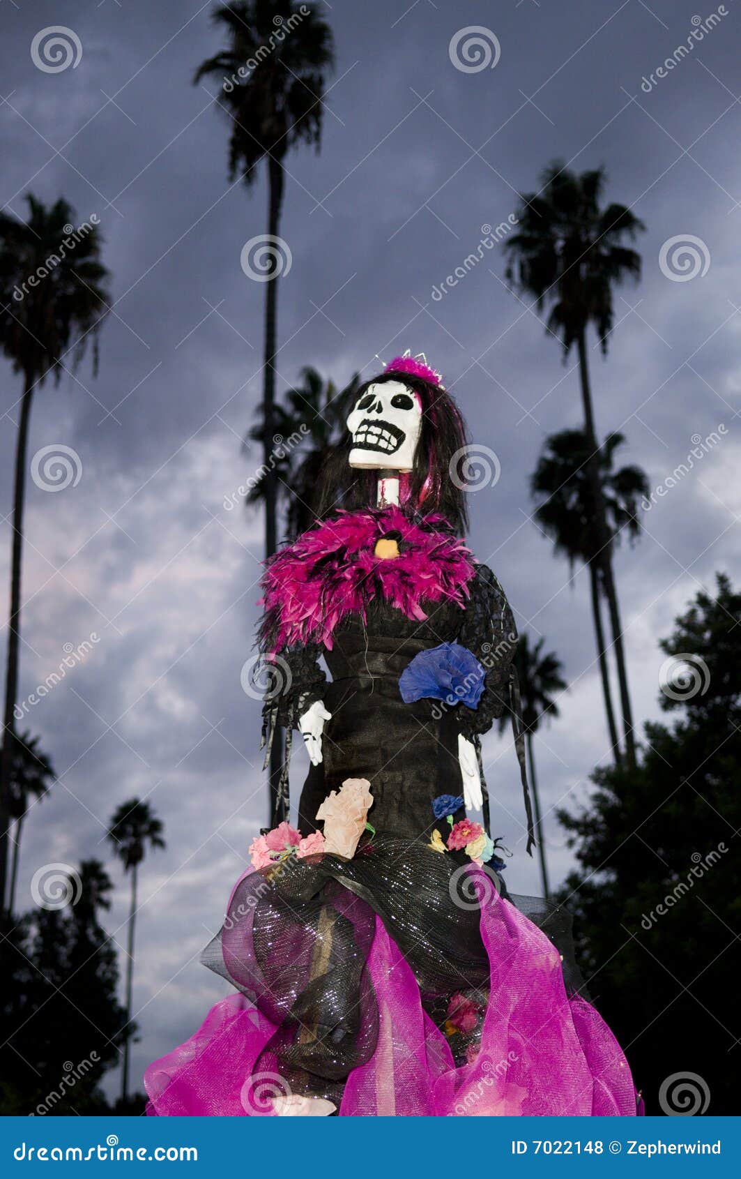 Day of the dead display stock photo. Image of mexico, holiday - 7022148