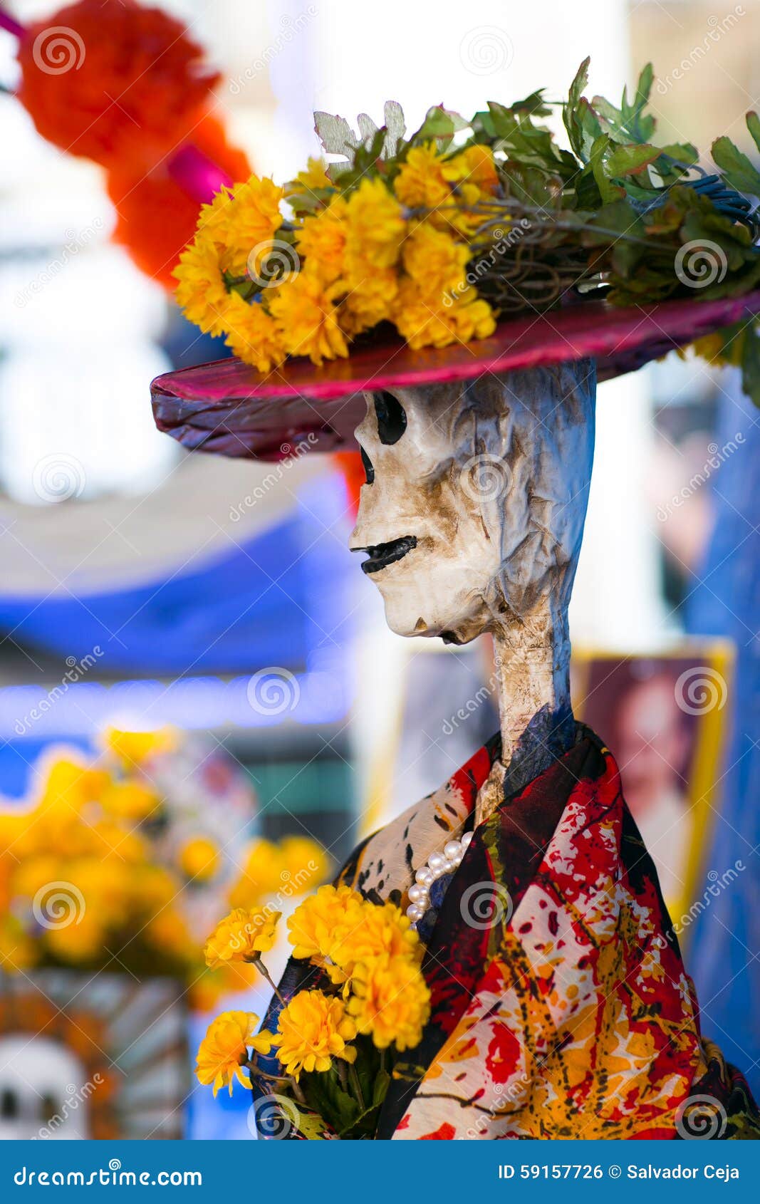 Day of the dead skeleton stock photo. Image of dios, fine - 59157726