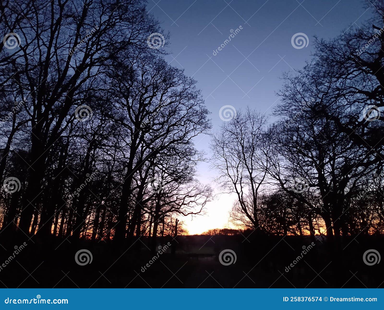 The Day is Ending Night Drawing Near Stock Photo - Image of night ...
