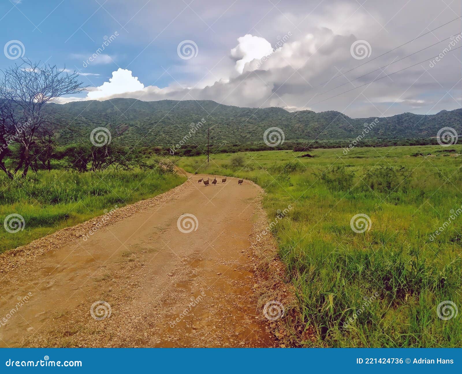 A Day on the Farm. the Namibian Bush Stock Photo - Image of mountain ...