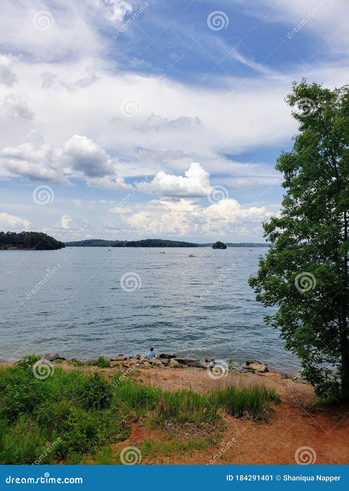 Day at the lake stock image. Image of coast, lake, shore - 184291401