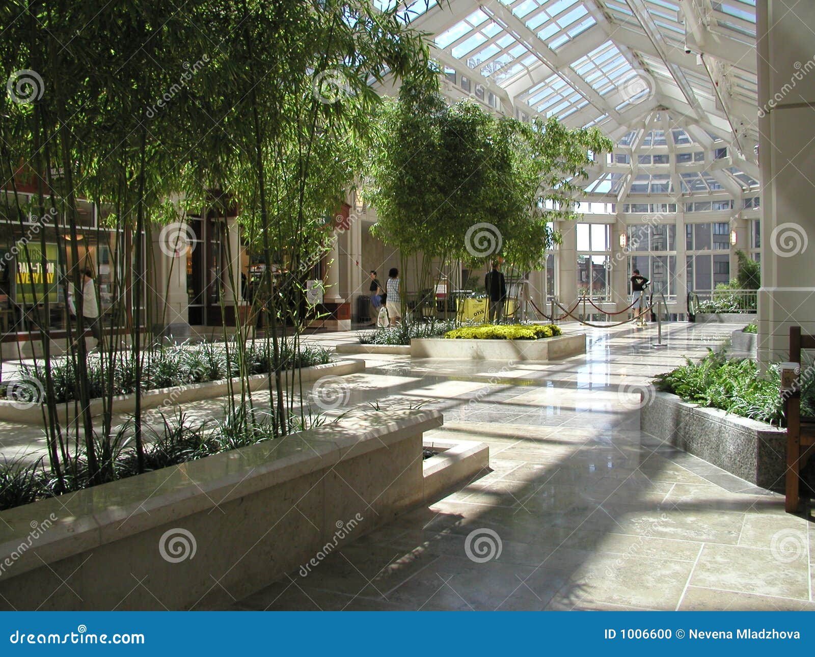 A day at the Mall stock photo. Image of light, tree, retail - 1006600