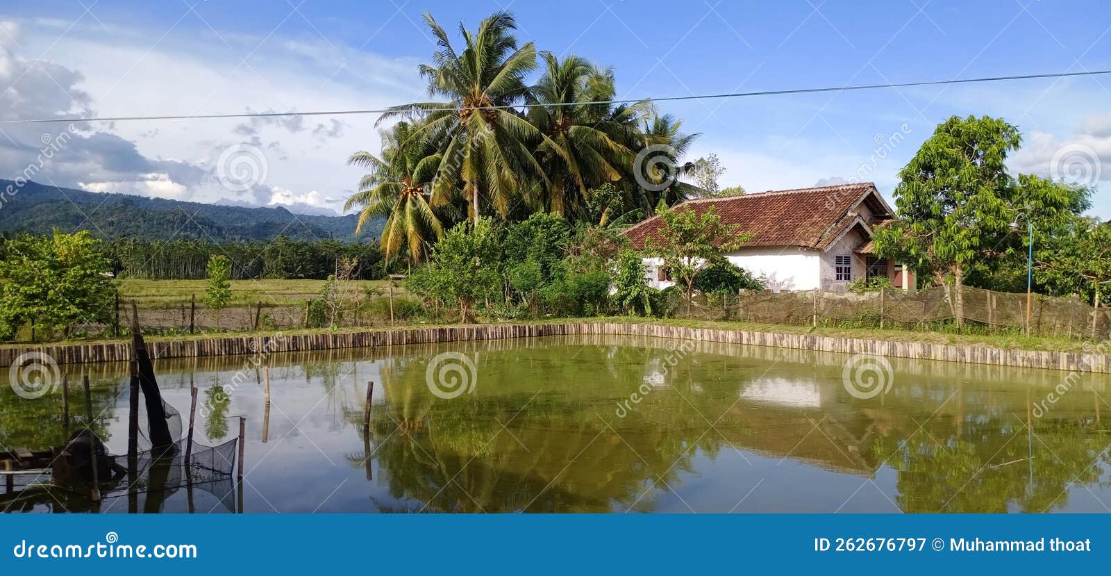 A Day in Nature Life Scenery Stock Image - Image of resort, vacation ...