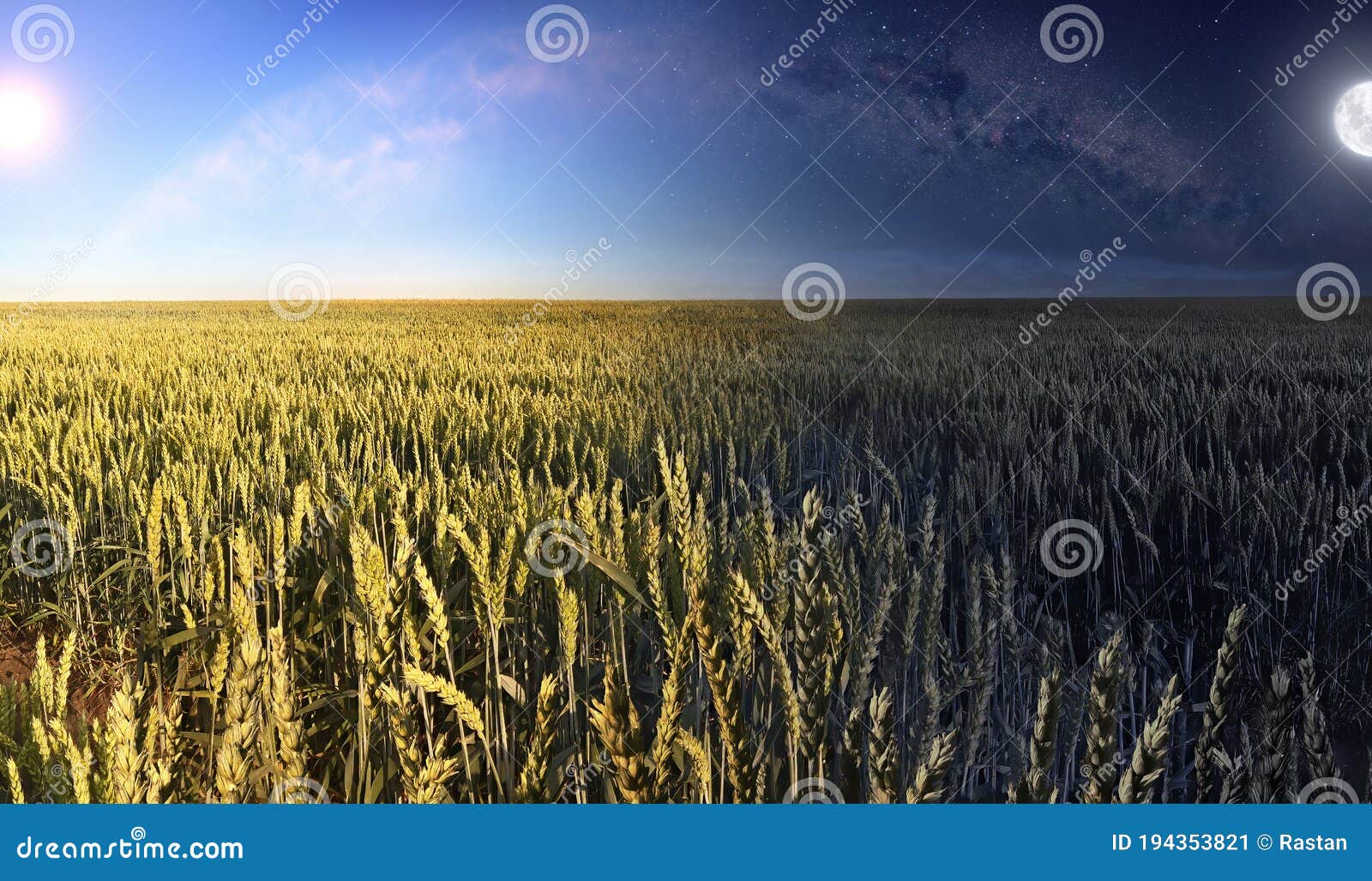 Day and night field stock image. Image of dark, night - 194353821