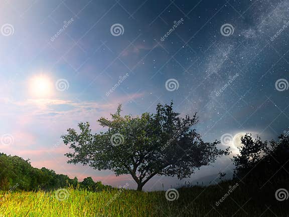 Between day and night stock photo. Image of light, field - 97223518