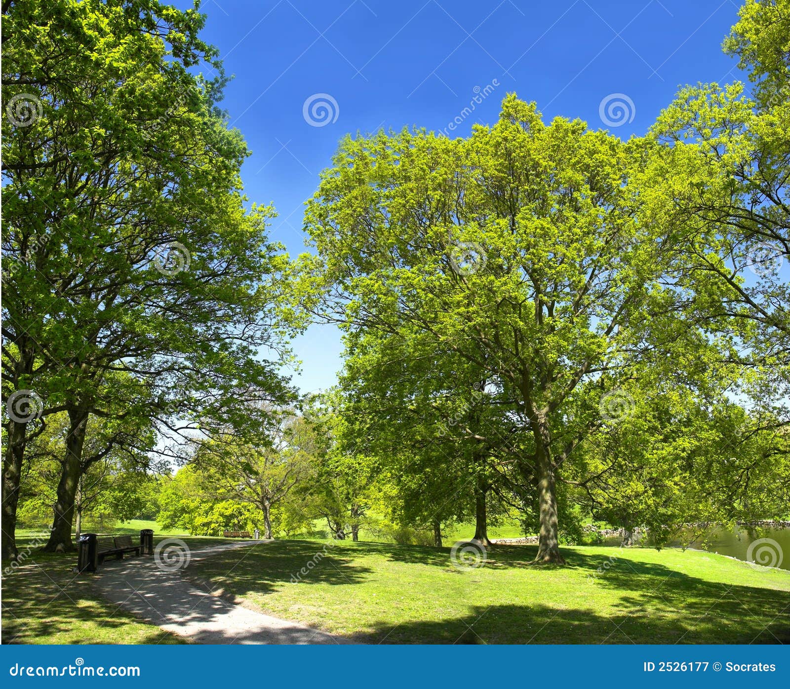 Day in the park stock image. Image of grass, forest, garden - 2526177