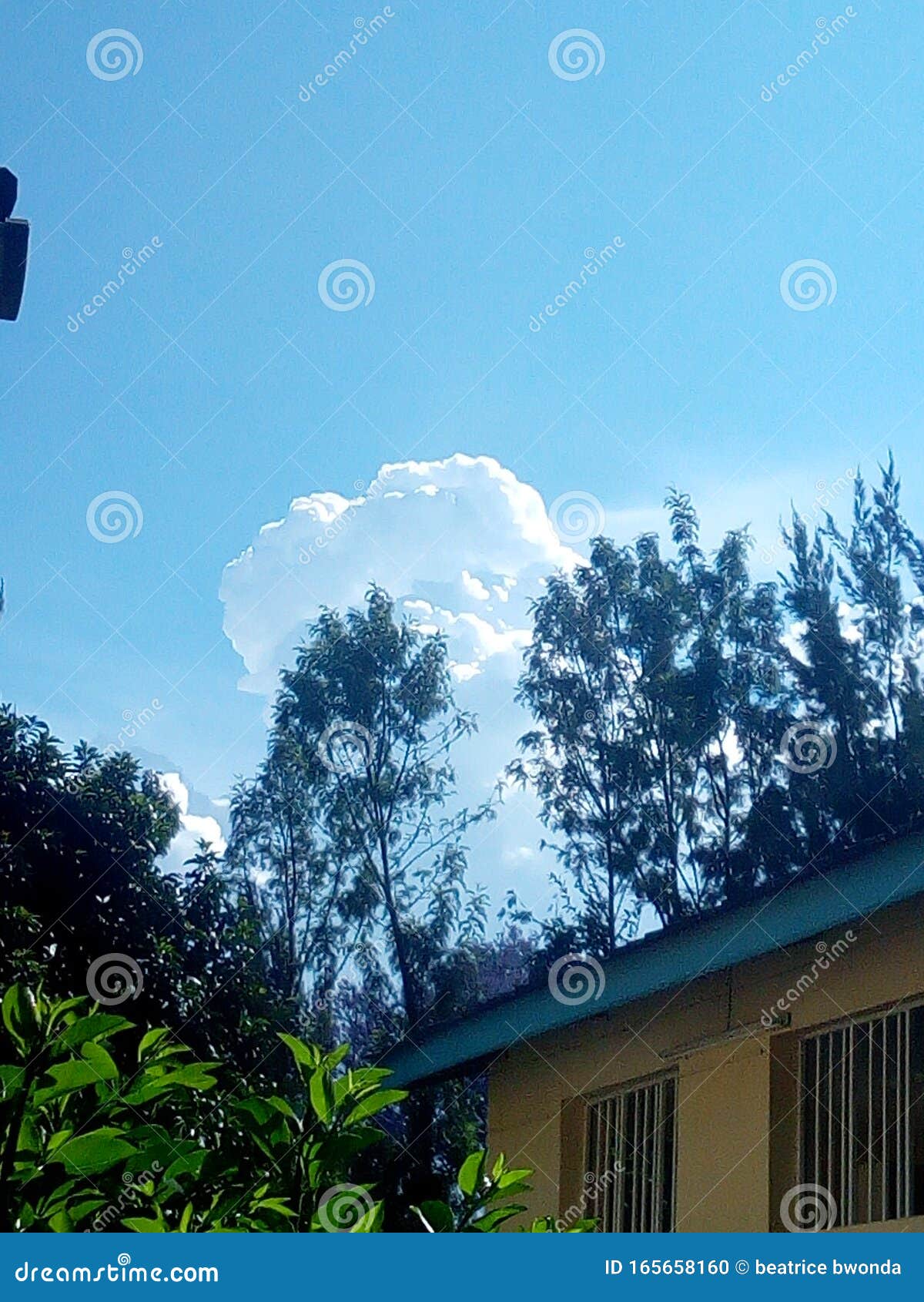 A Day with Perfect Weather and Clear Sky Stock Photo - Image of perfect ...