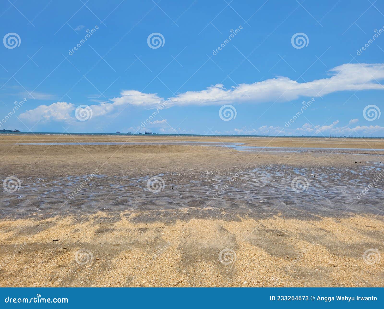 When during the Day the Sea Water Recedes Stock Image - Image of water ...