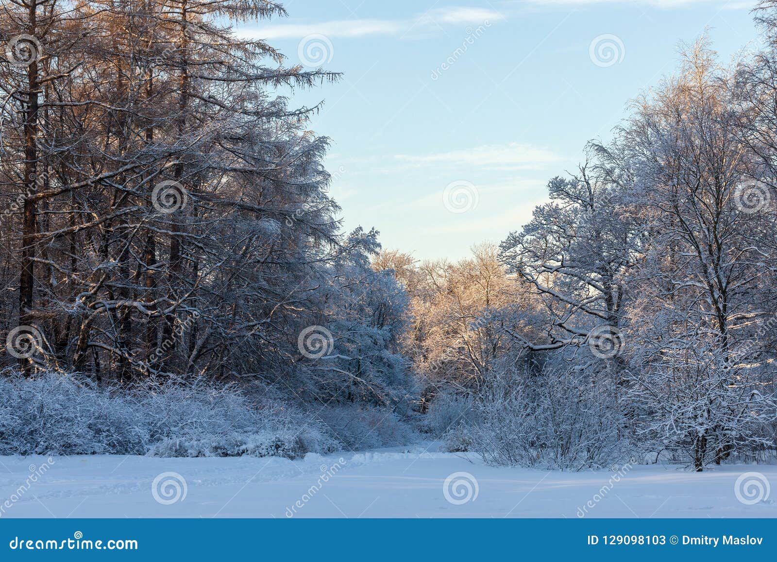 Day in a snowy winter park stock image. Image of beautiful - 129098103