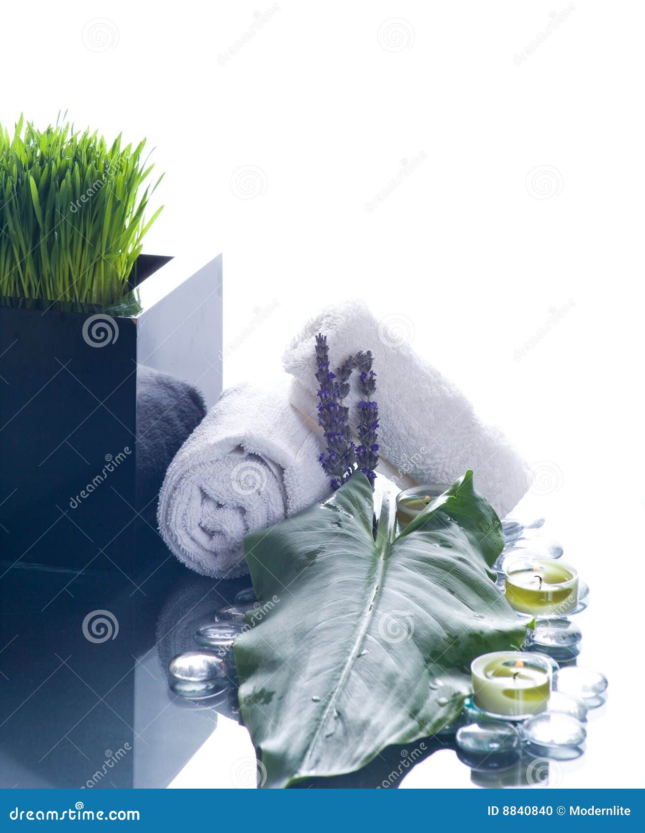 Day Spa with Flowers Candles Stock Photo - Image of pamper, green: 8840840