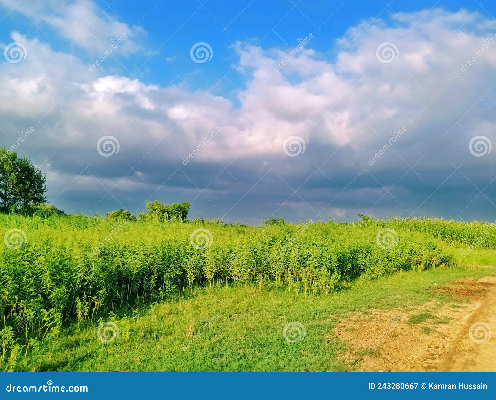 The Day Time before Raining Beautiful Picture Stock Image - Image of ...
