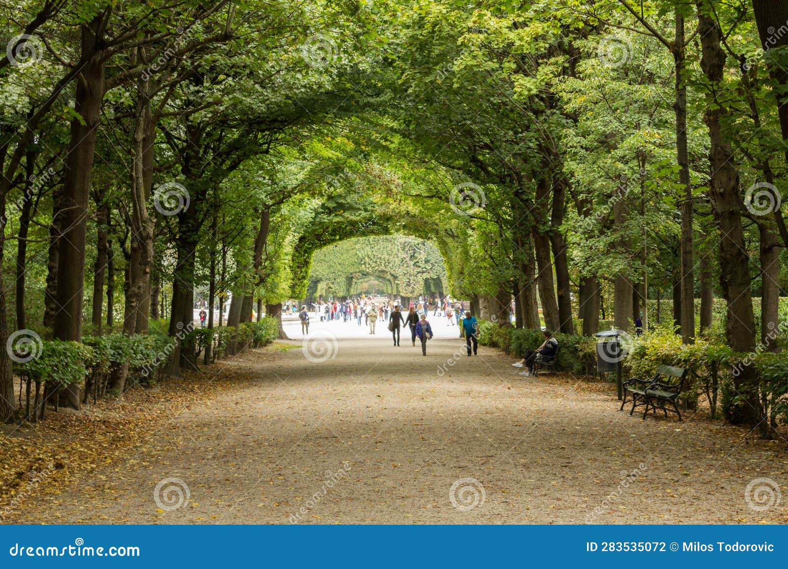A Day in Vienna, Austria, Tree, Walk, People Editorial Photography ...