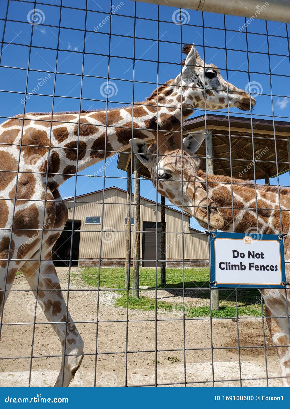 Day at the zoo editorial image. Image of outside, animals - 169100600