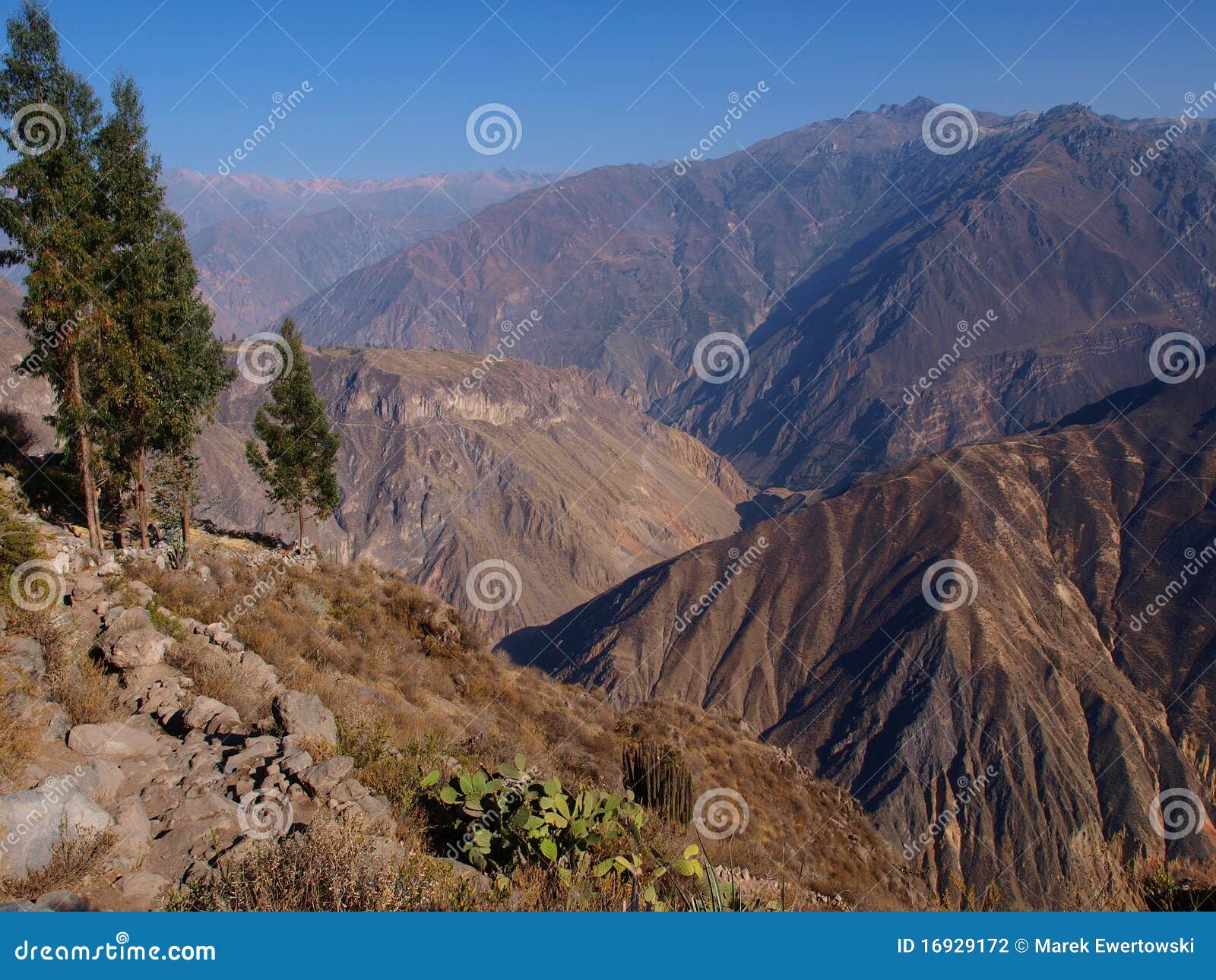 Daybreak stock photo. Image of scene, season, serene - 16929172