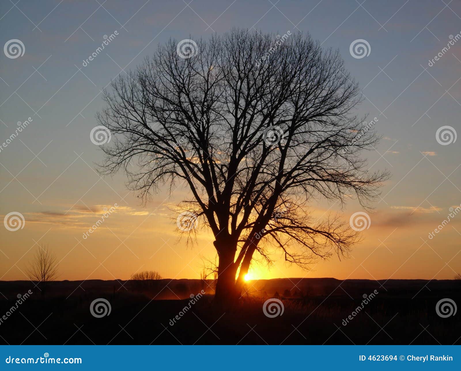 Daybreak stock photo. Image of valley, barren, country - 4623694