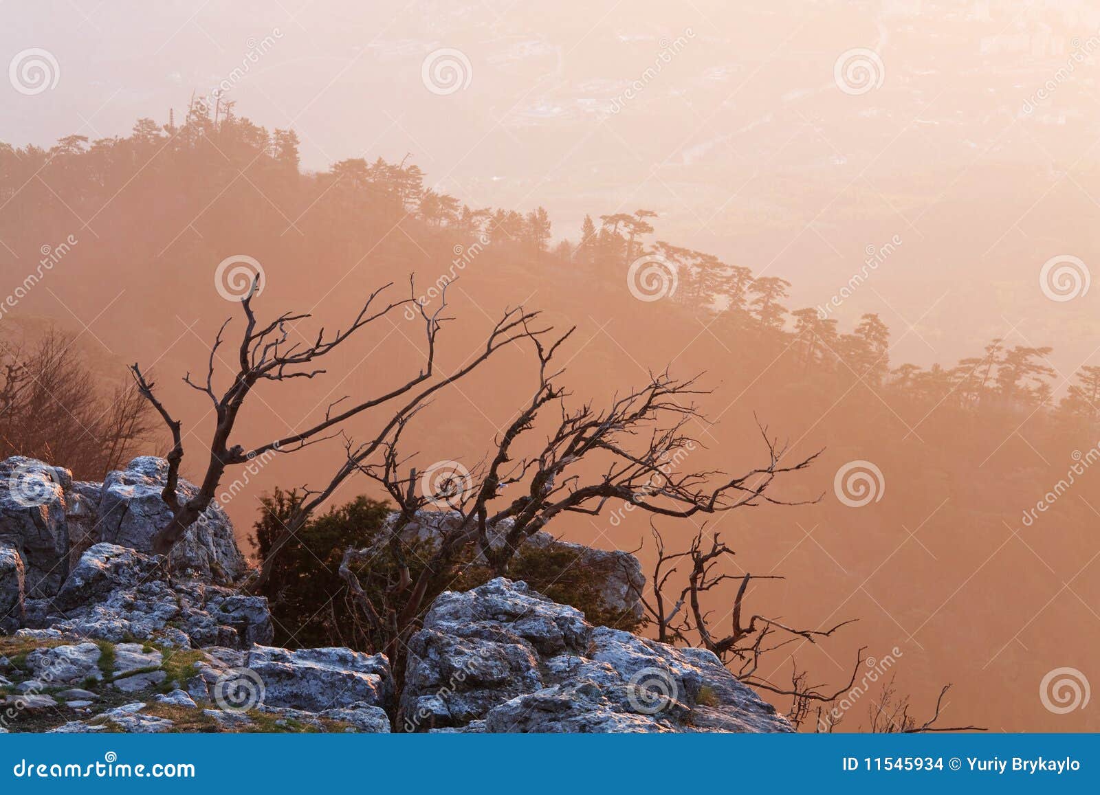 Daybreak landscape stock photo. Image of beautiful, dawn - 11545934