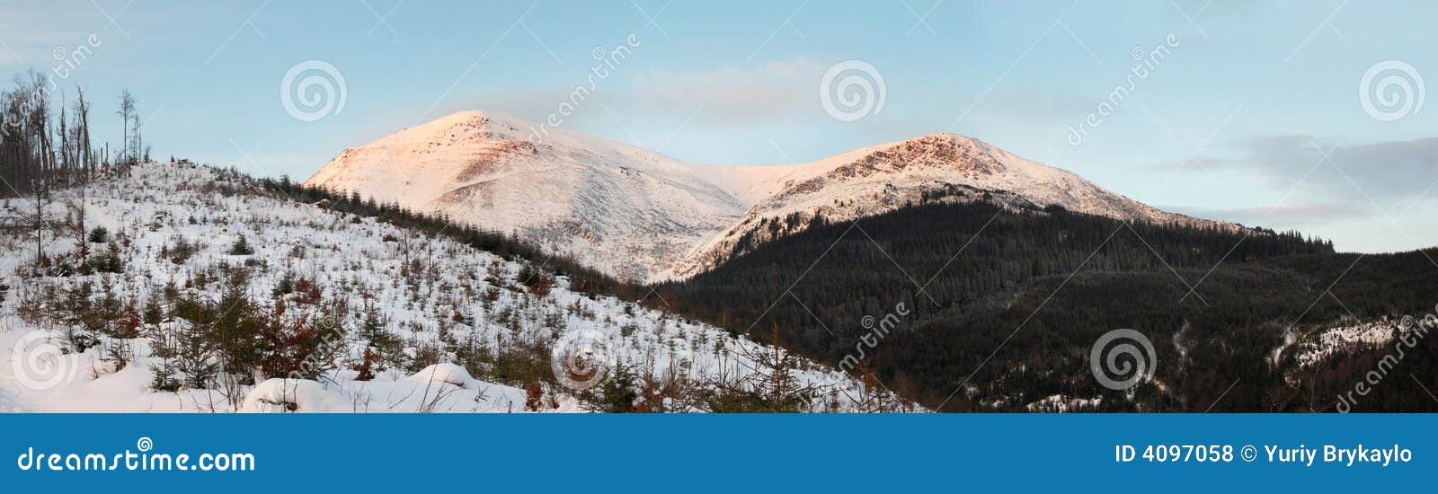 Winter Daybreak Scene, Frozen Wetland And Row Of Beautiful Shaped Trees ...