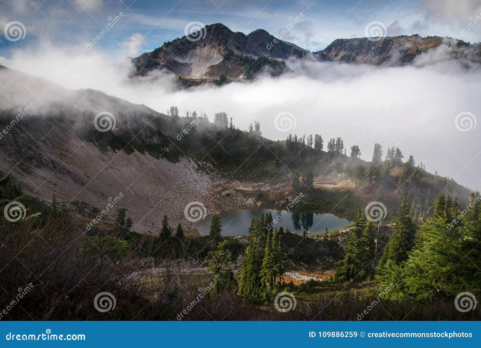 Daylight, Fog, Foggy Picture. Image: 109886259