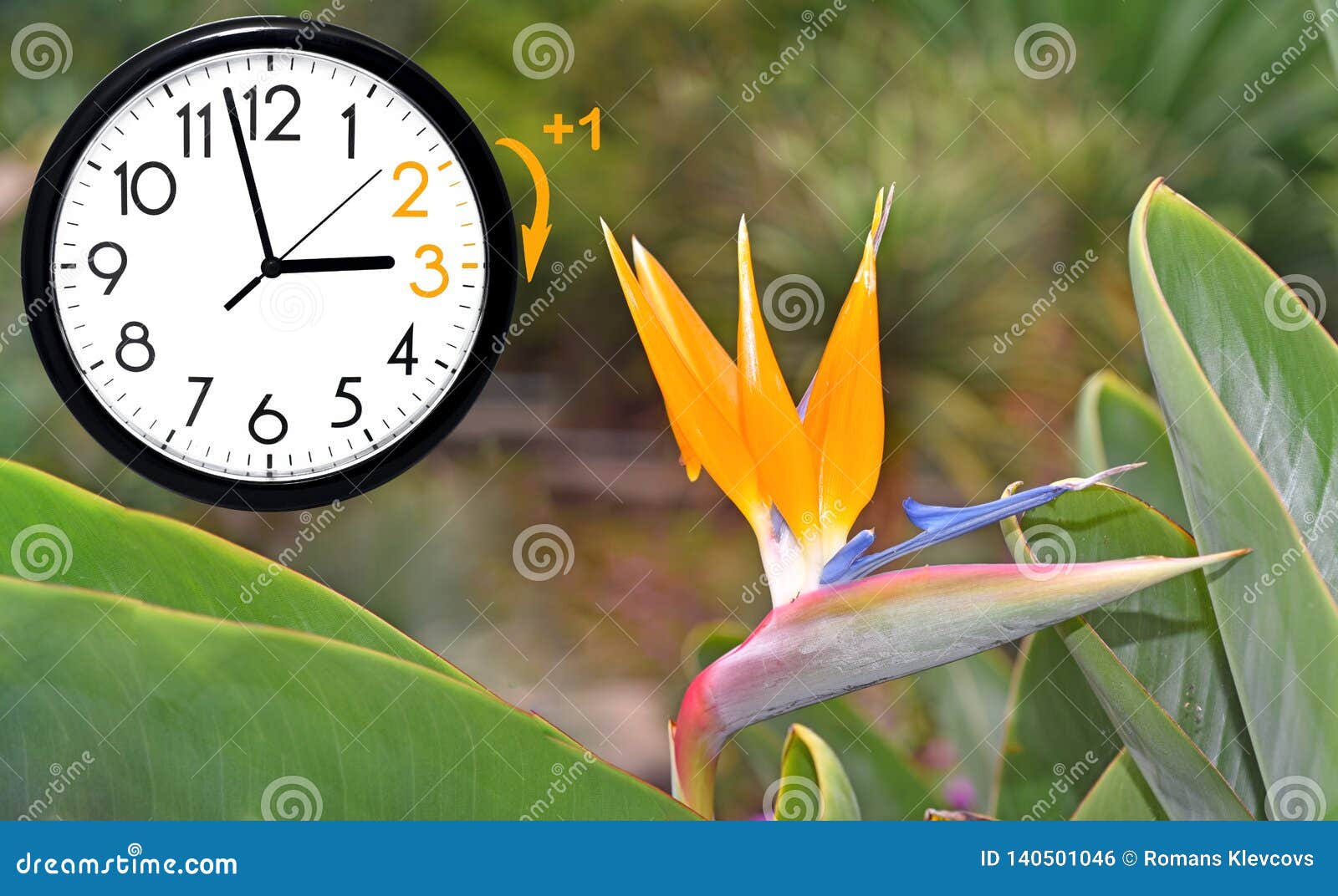 Daylight Saving Time. DST. Wall Clock Going To Winter Time Stock Photo ...