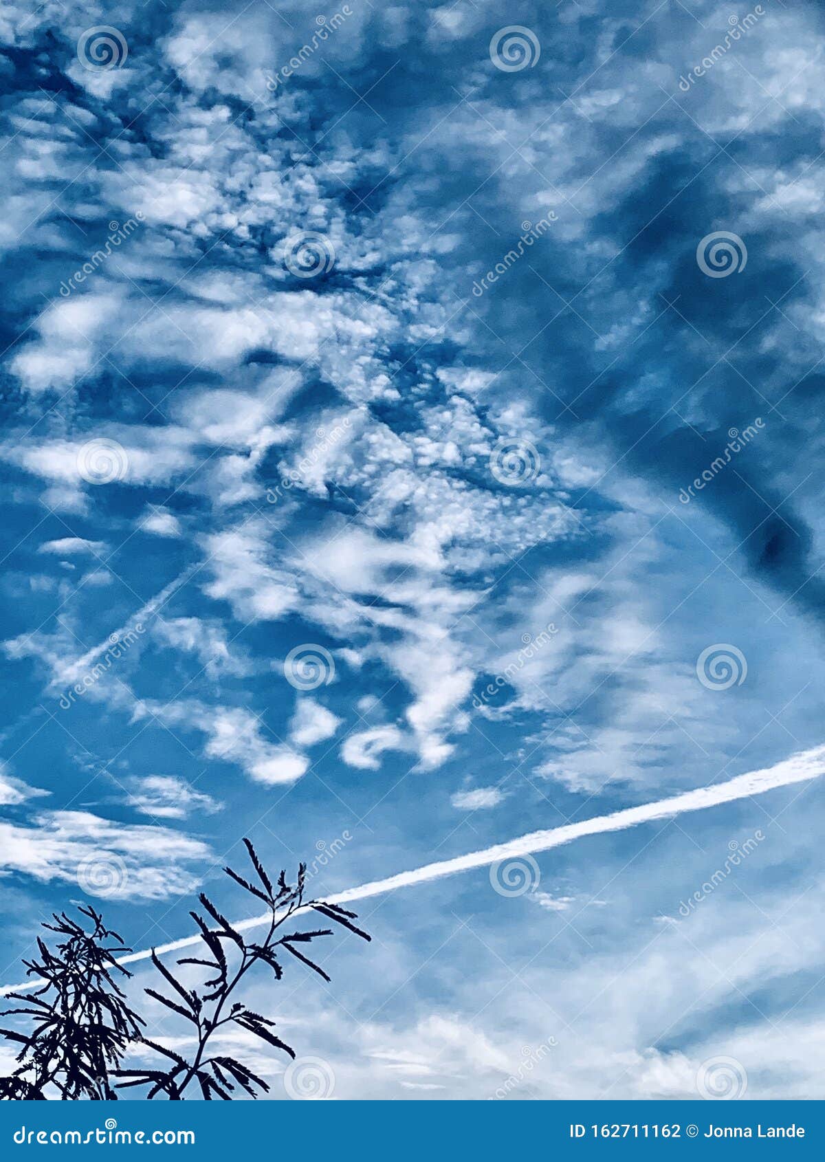 Daytime stock photo. Image of blue, sunny, beautiful - 162711162