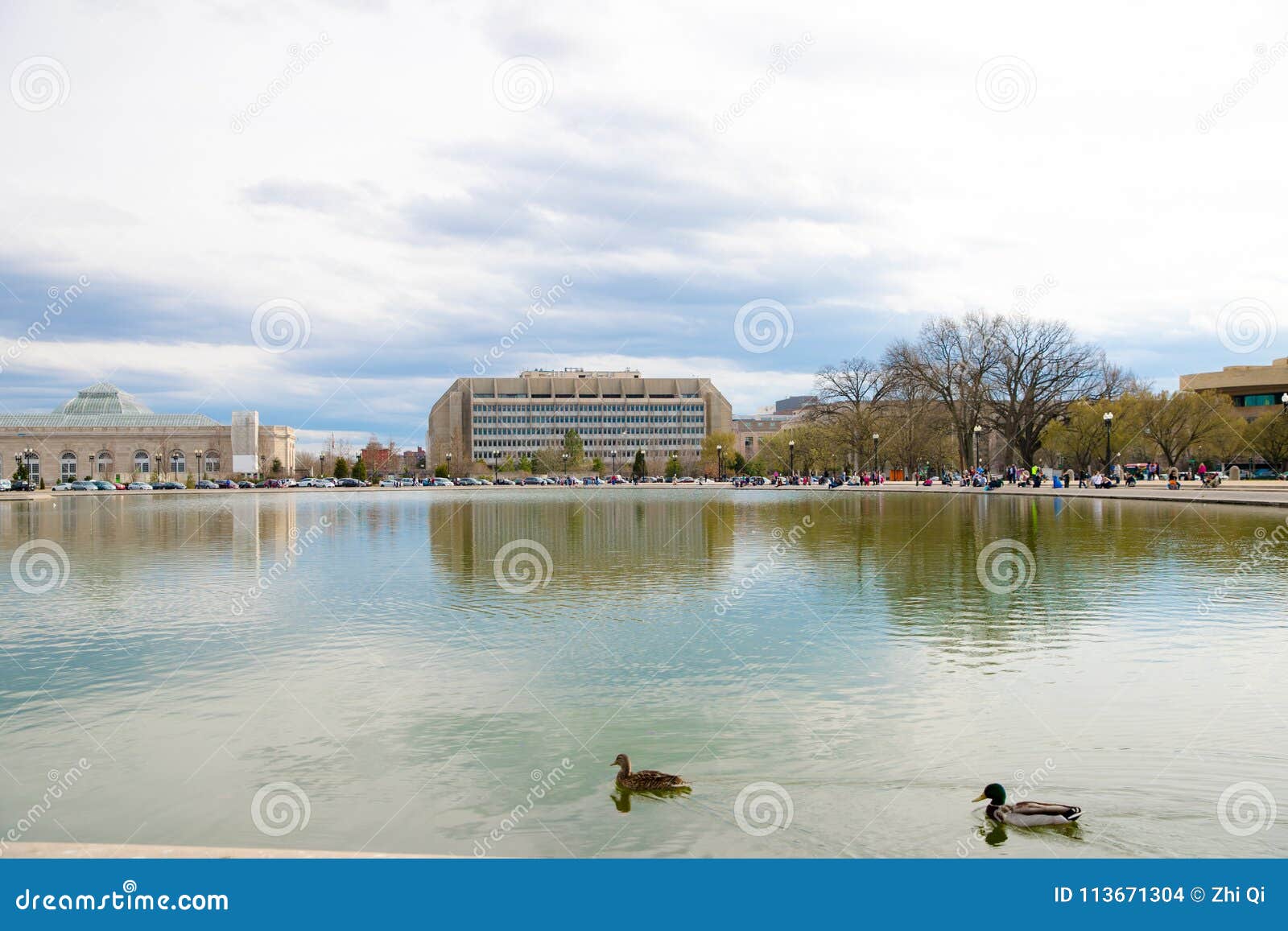 Daytime Landscape US Capitol Building Washington DC Editorial Stock ...