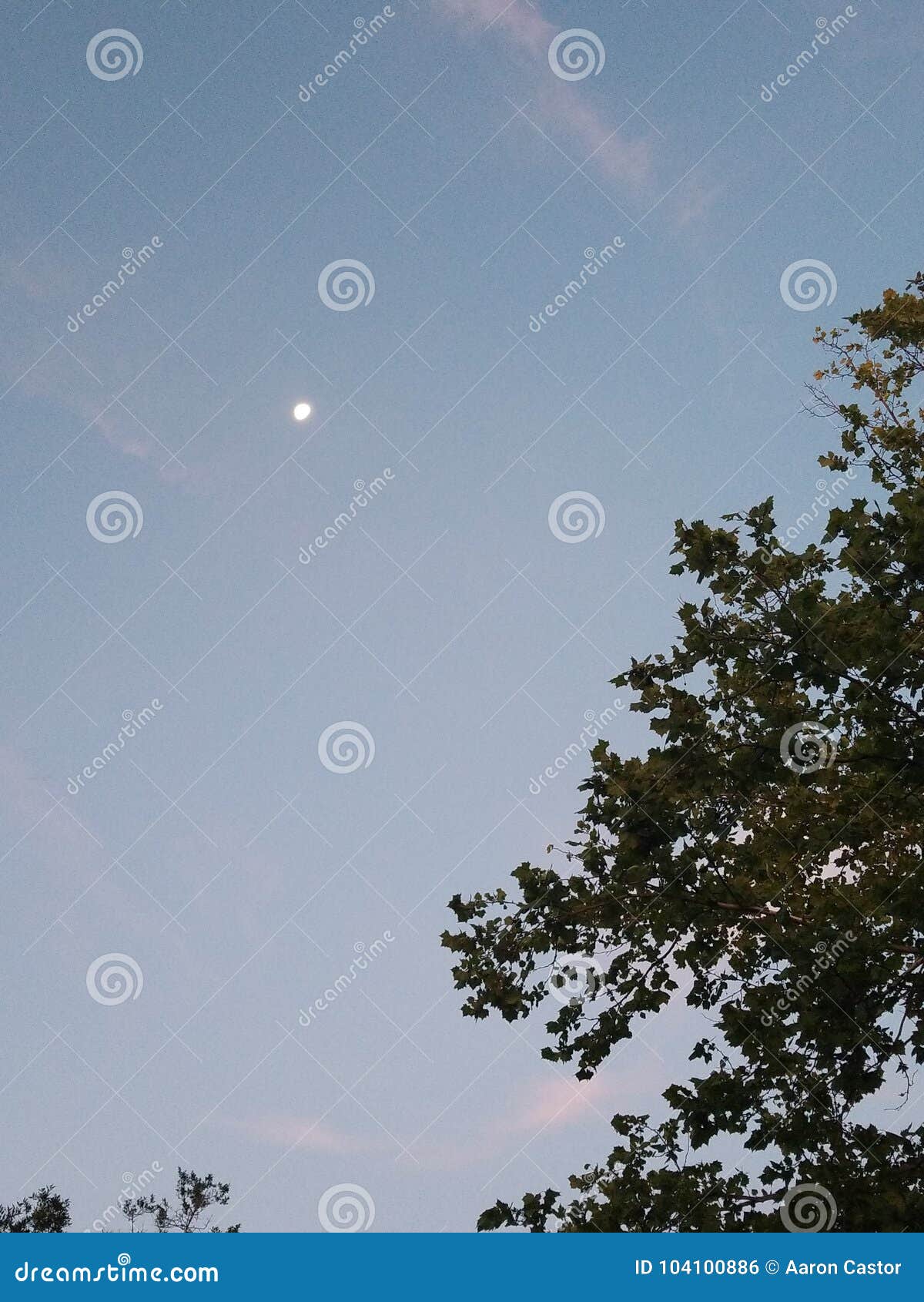 Daytime moon stock photo. Image of outdoors, daytime - 104100886