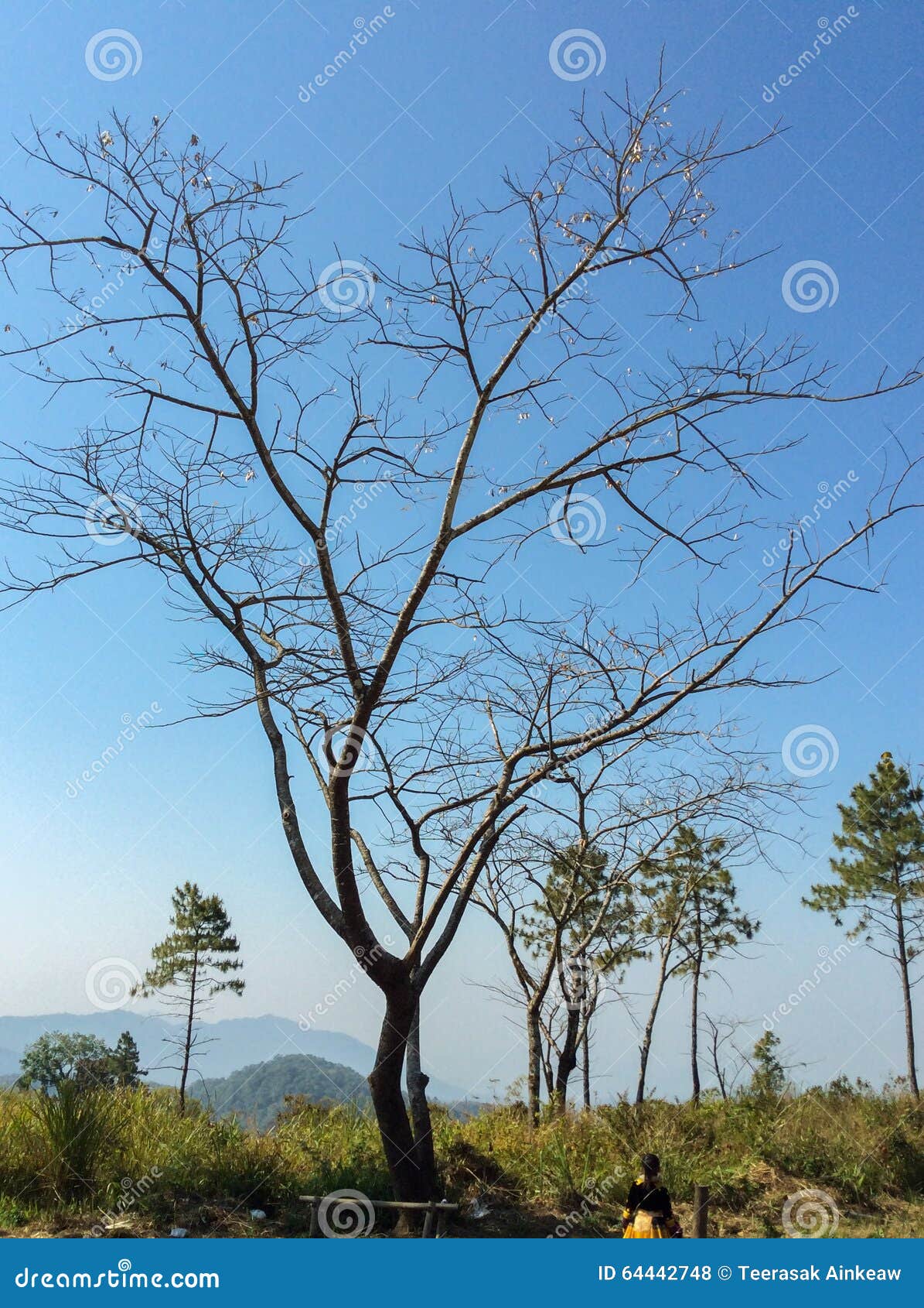 Daytime moon shot. stock photo. Image of full, lunar - 64442748