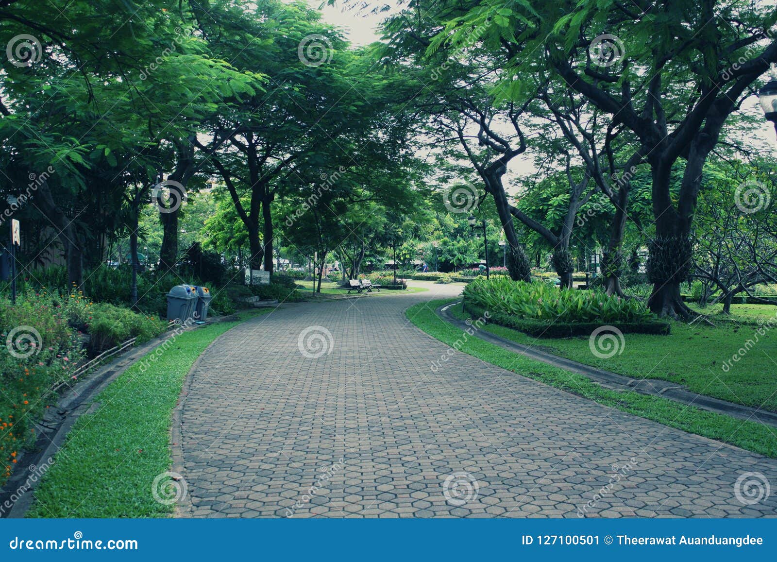 Daytime Park with Green Trees and Plants and Lawns Stock Image - Image ...
