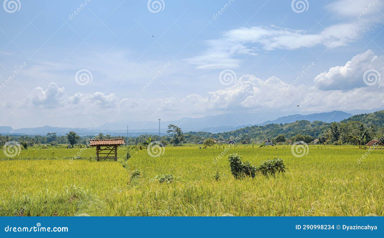 Kuningan west java stock photo. Image of plateau, agriculture - 290998234