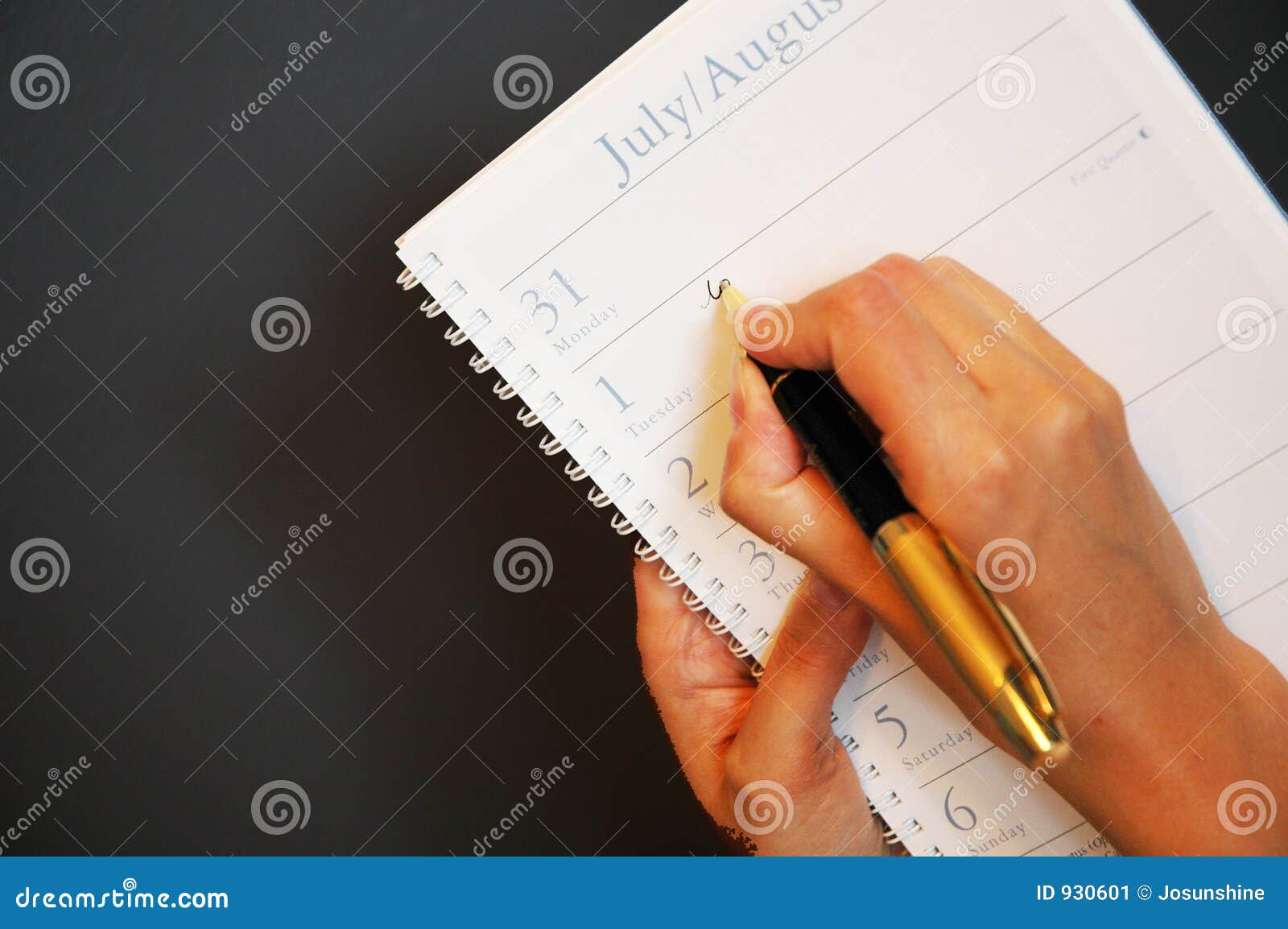 Daytimer Writing stock image. Image of hand, holding, journal - 930601