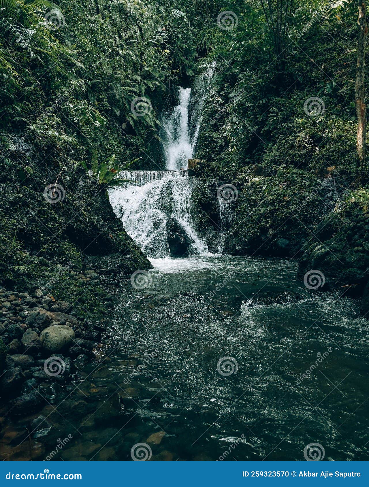 Dazzling Hidden Waterfalls and Streams in the Middle of the Forest ...