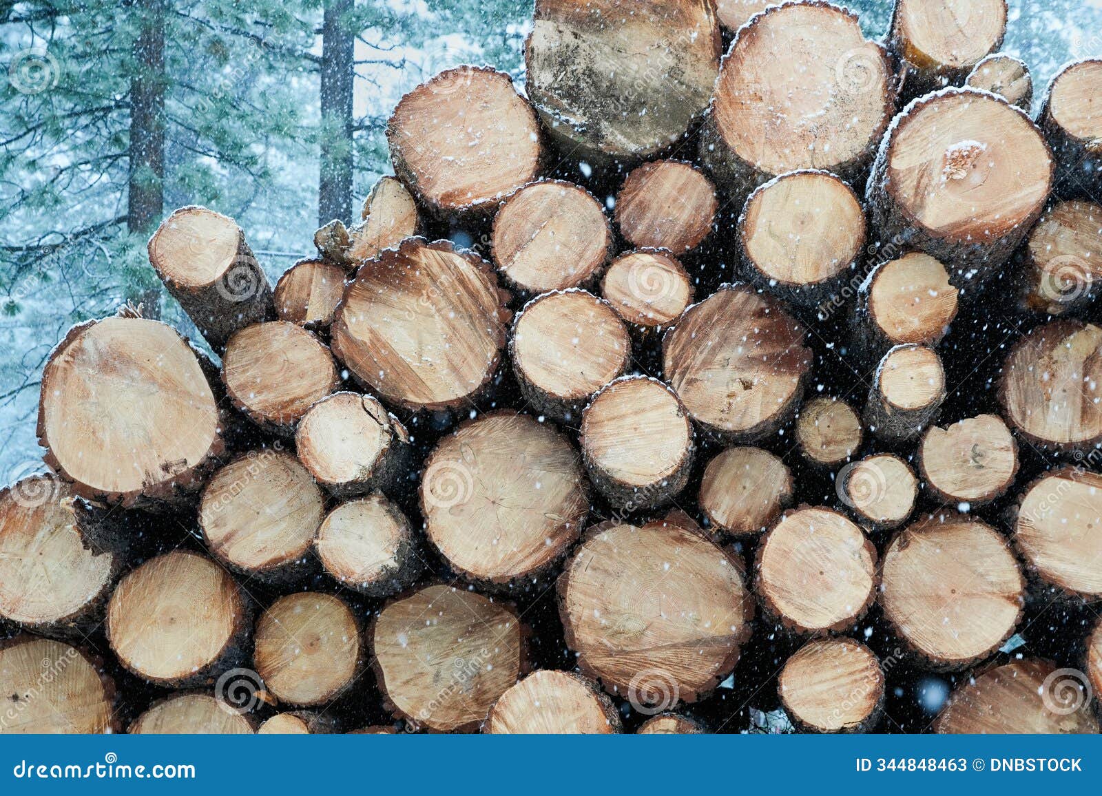 Snow Falling in Front of Large Stack of Logs Stock Image - Image of ...