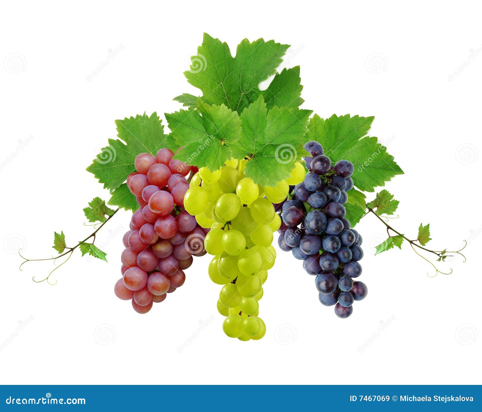 Ddecoration Van Wijndruiven Stock Afbeelding - Image of vrucht ...