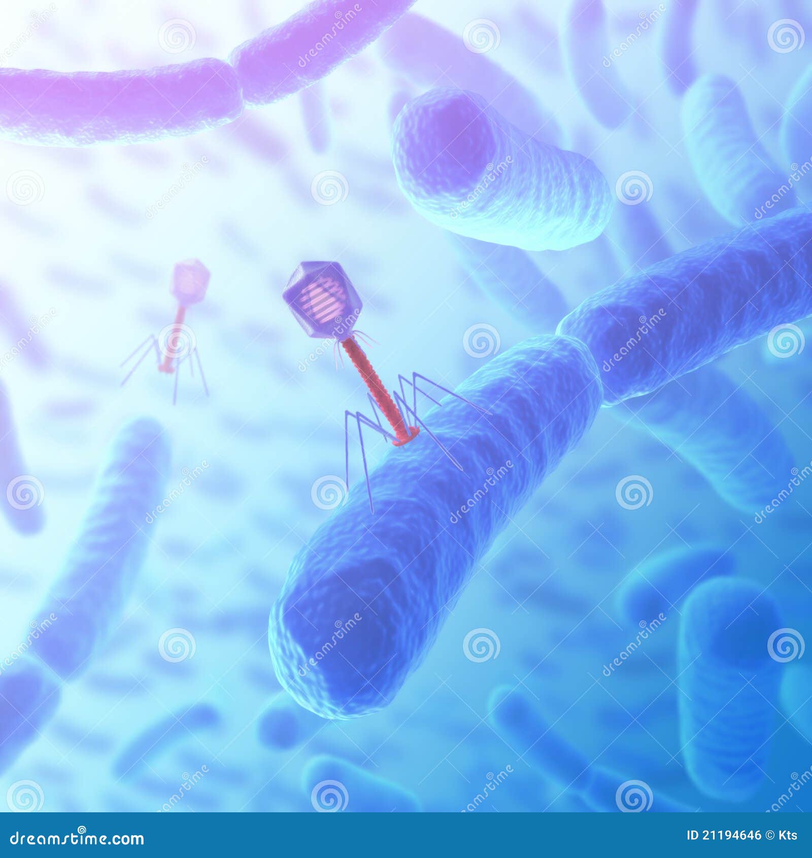 De Aanval Van De Bacteriofaag Stock Foto - Image of bacteriofagen ...