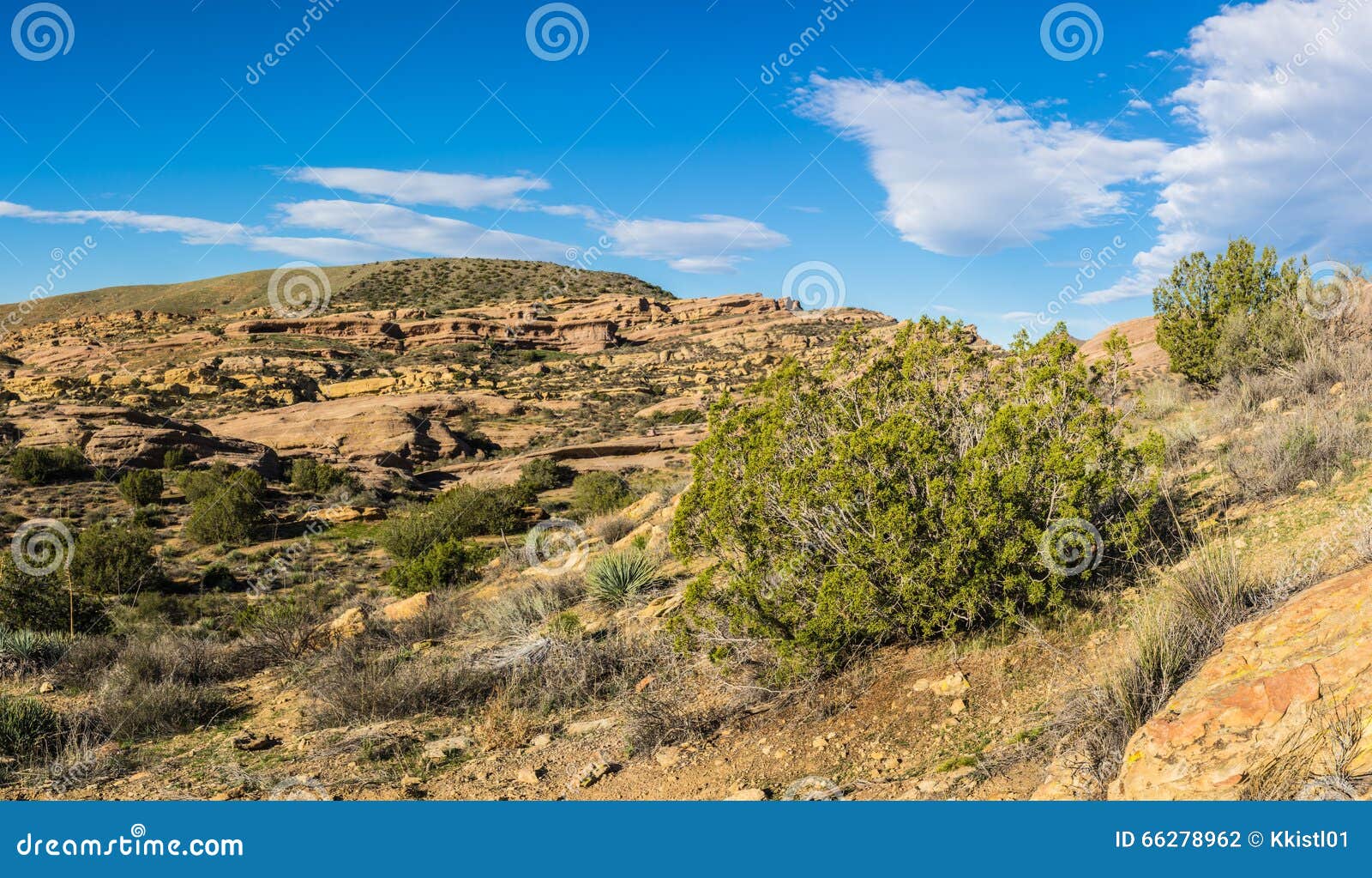 De Aardwildernis Van De Mojavewoestijn Stock Foto - Image of ...