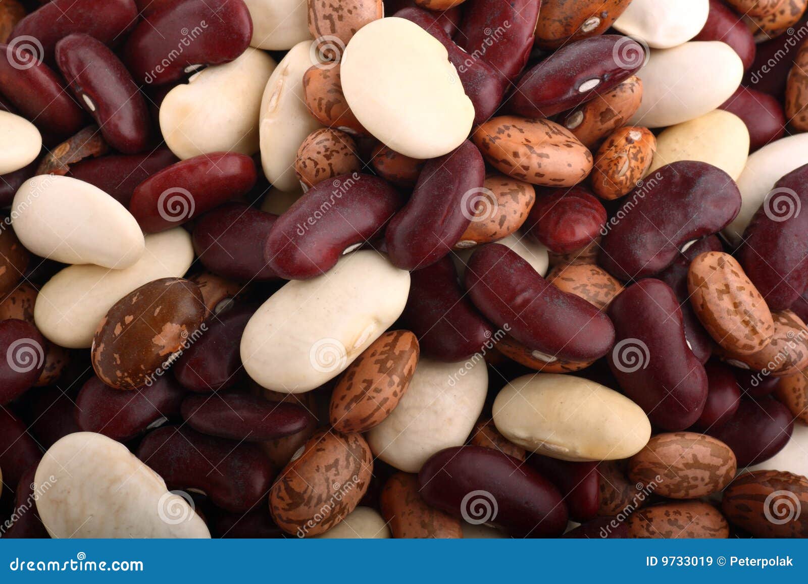 De Achtergrond Die Van Bonen Drie Soorten Soort Bevat Stock Afbeelding ...