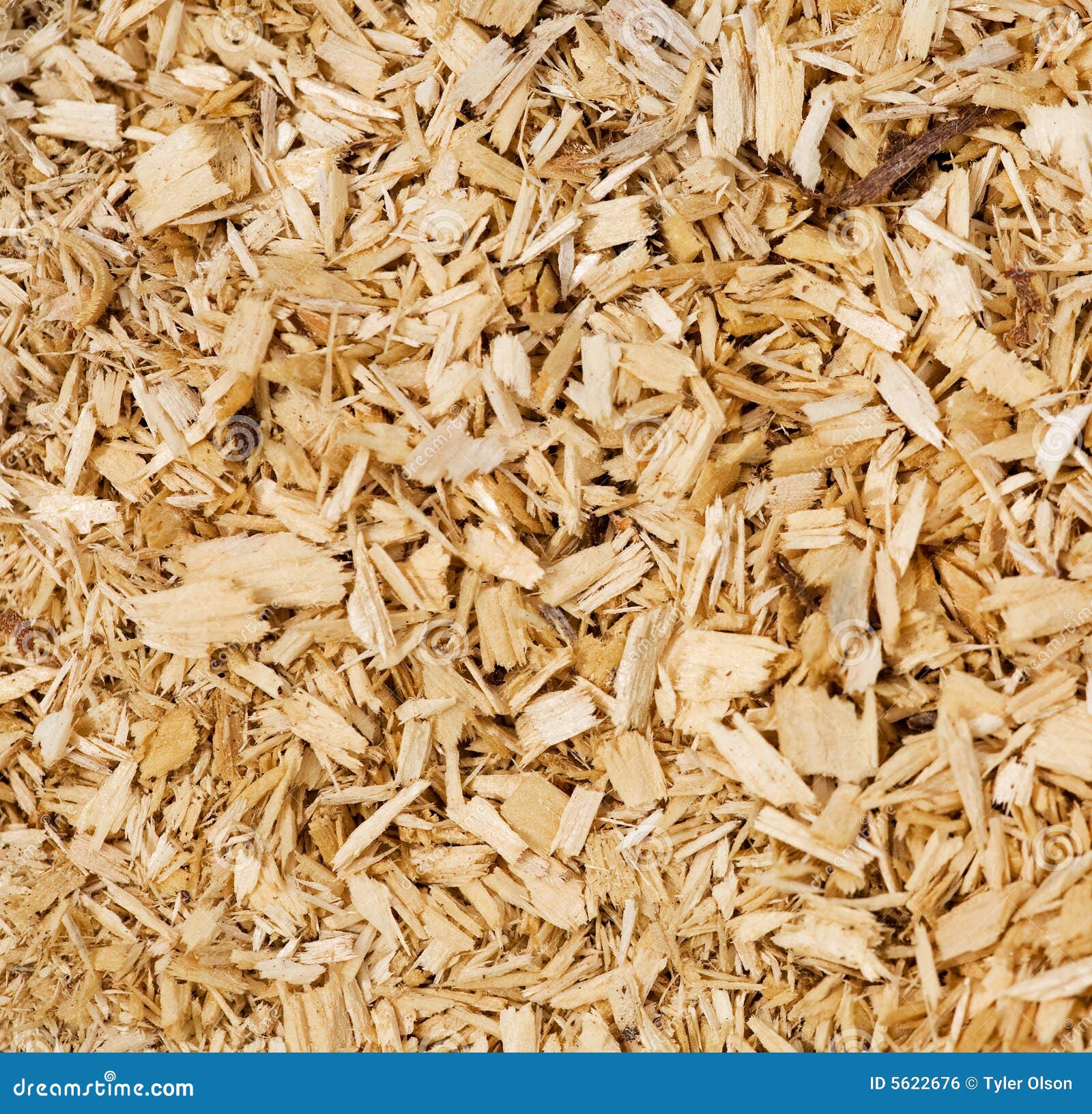 De Achtergrond Van De Houtspaander Stock Foto - Image of houten ...