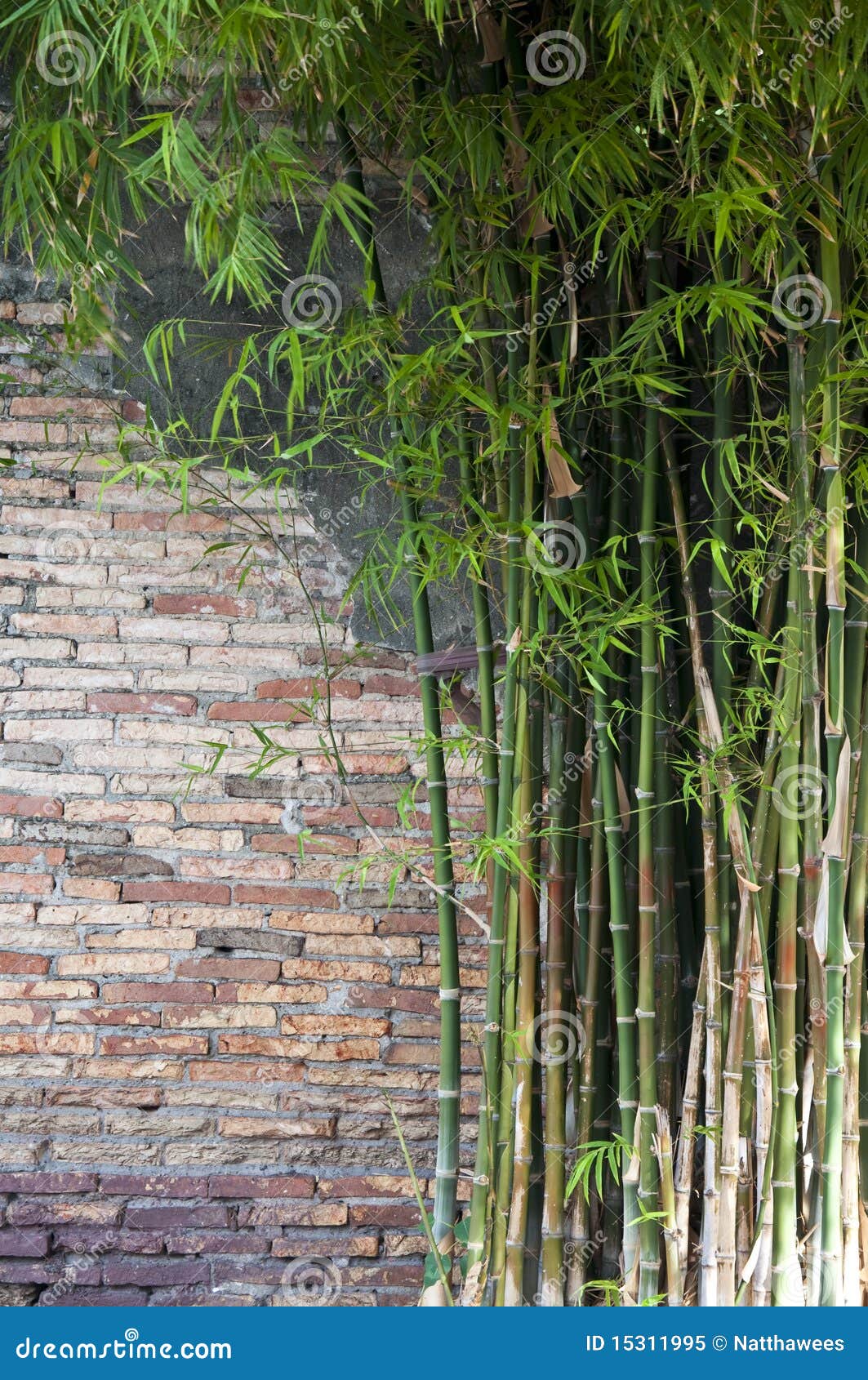 De Achtergrond Van Het Bamboe Van De Baksteen Stock Afbeelding - Image ...