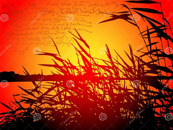 De Achtergrond Van Het Riet Vector Illustratie - Illustration of ...