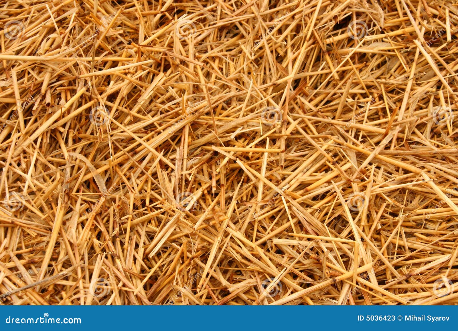 De Achtergrond Van Het Stro Stock Afbeelding - Image of stro, matras ...