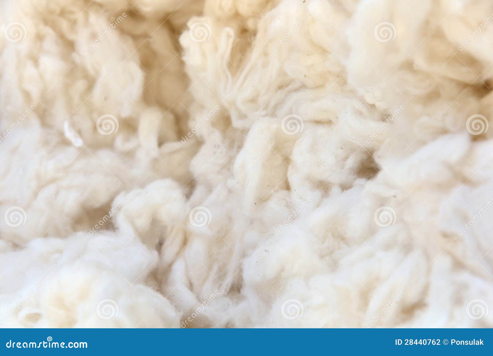 De achtergrond van watten stock foto. Image of achtergrond - 28440762