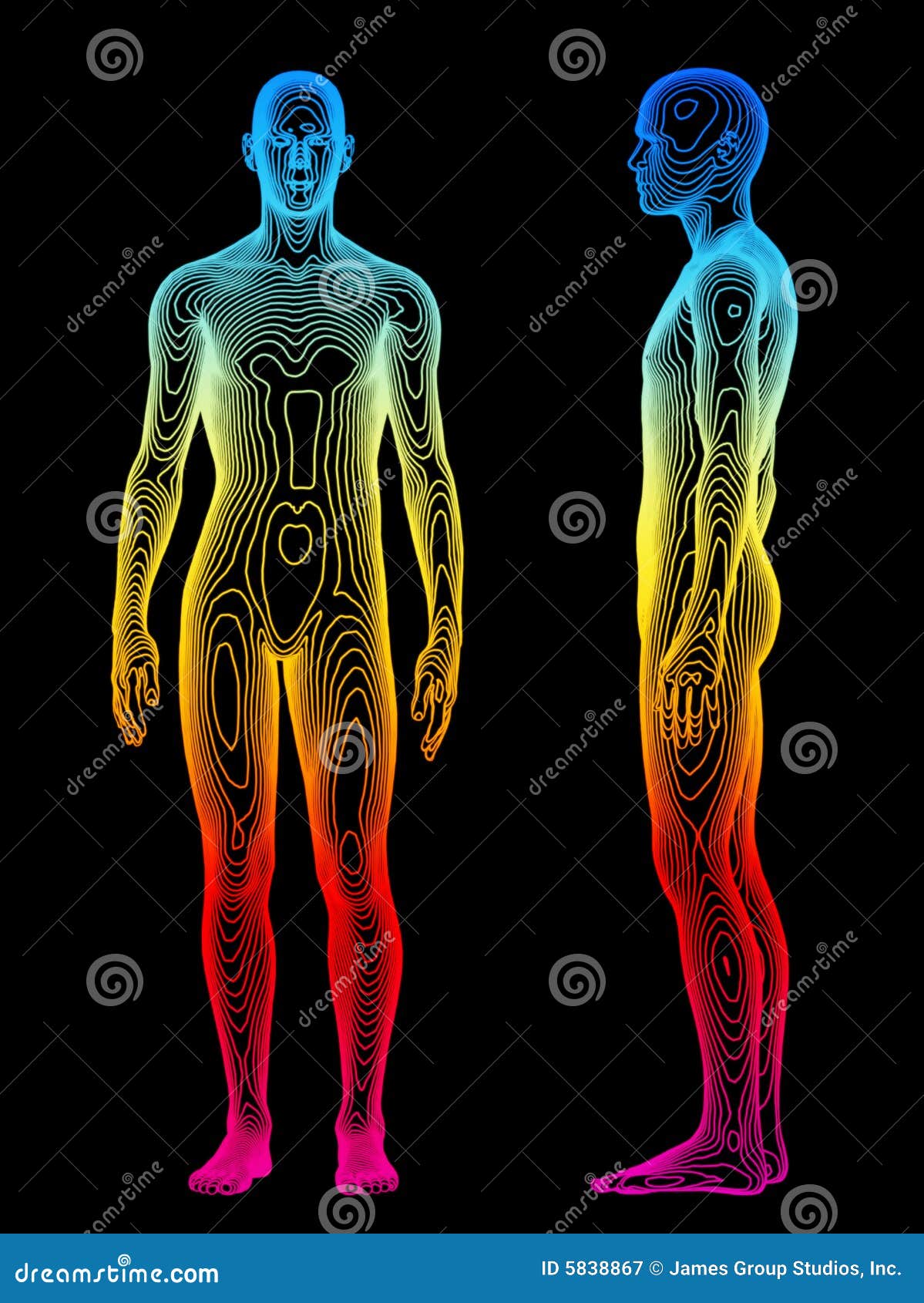 De Analyse van het lichaam stock illustratie. Illustration of examen ...