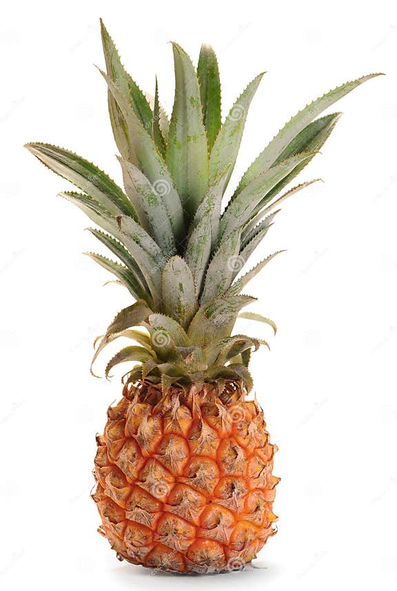 De Ananasfruit Van De Ananas Stock Afbeelding - Image of zoet, nave ...